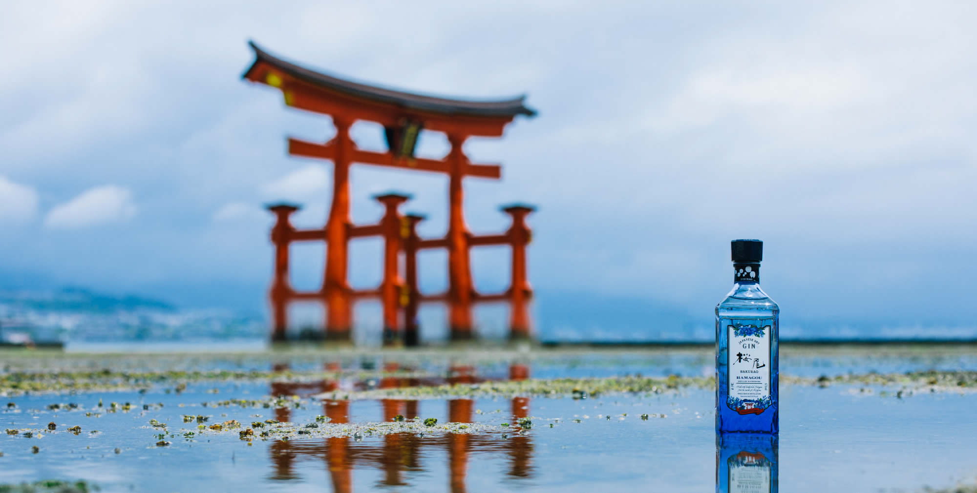 SAKURAO GIN HAMAGOU2023 | SAKURAO DISTILLERY